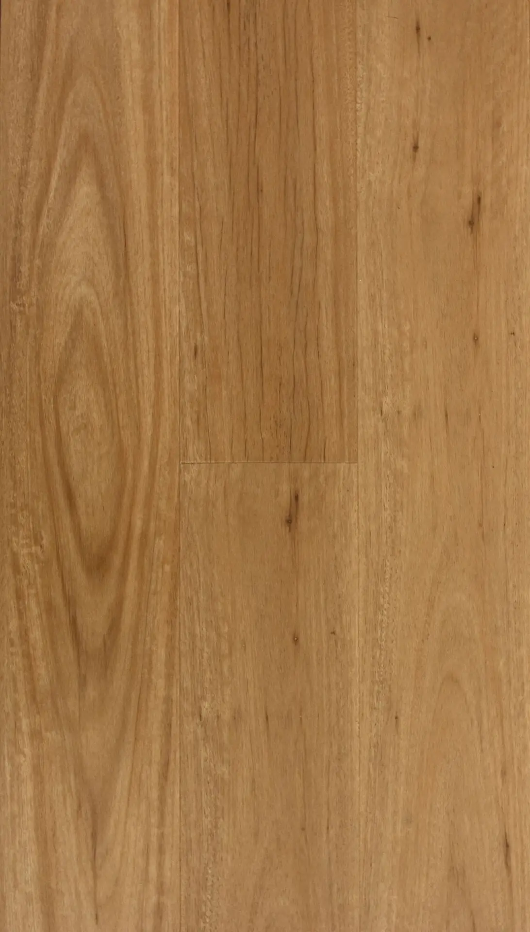 Aspire RCB 8mm | Coastal Blackbutt - Floorplan Studio